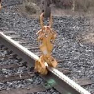 Railroad Tools and Solutions, Inc. | RAIL THREADING TONG